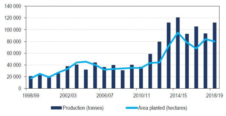 The Western Cape is Key to Africa’s Canola Production | Wandile Sihlobo
