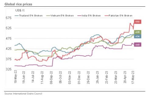Rand weakness and high global rice prices present near-term challenges ...